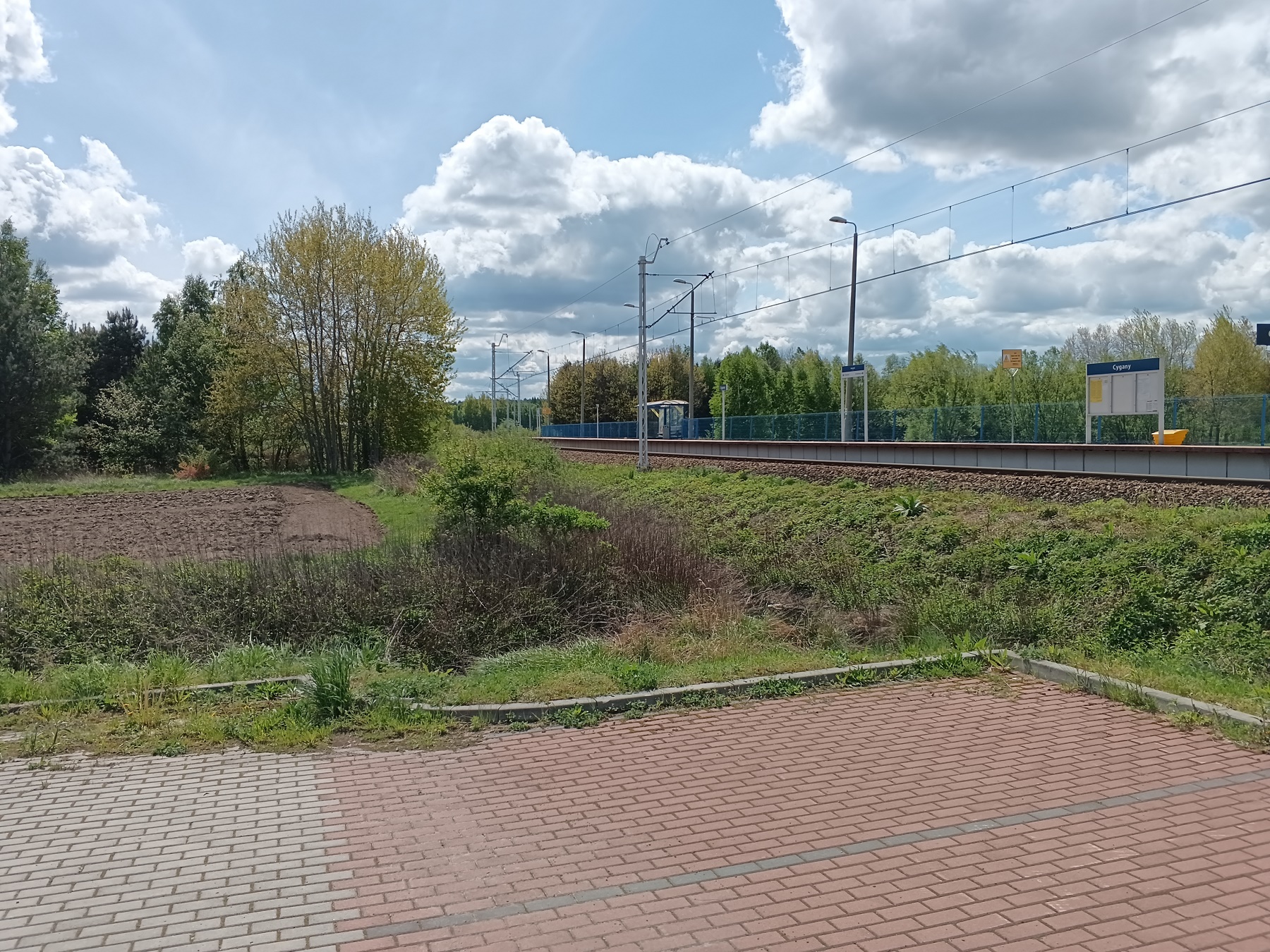 Cygany – Nasza Nowa Dęba